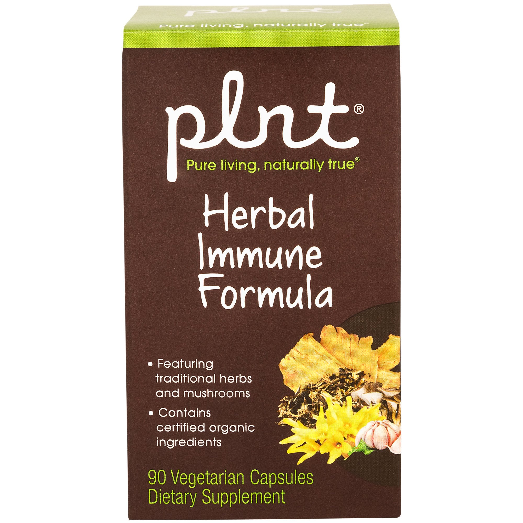 natural echinacea for daily wellness