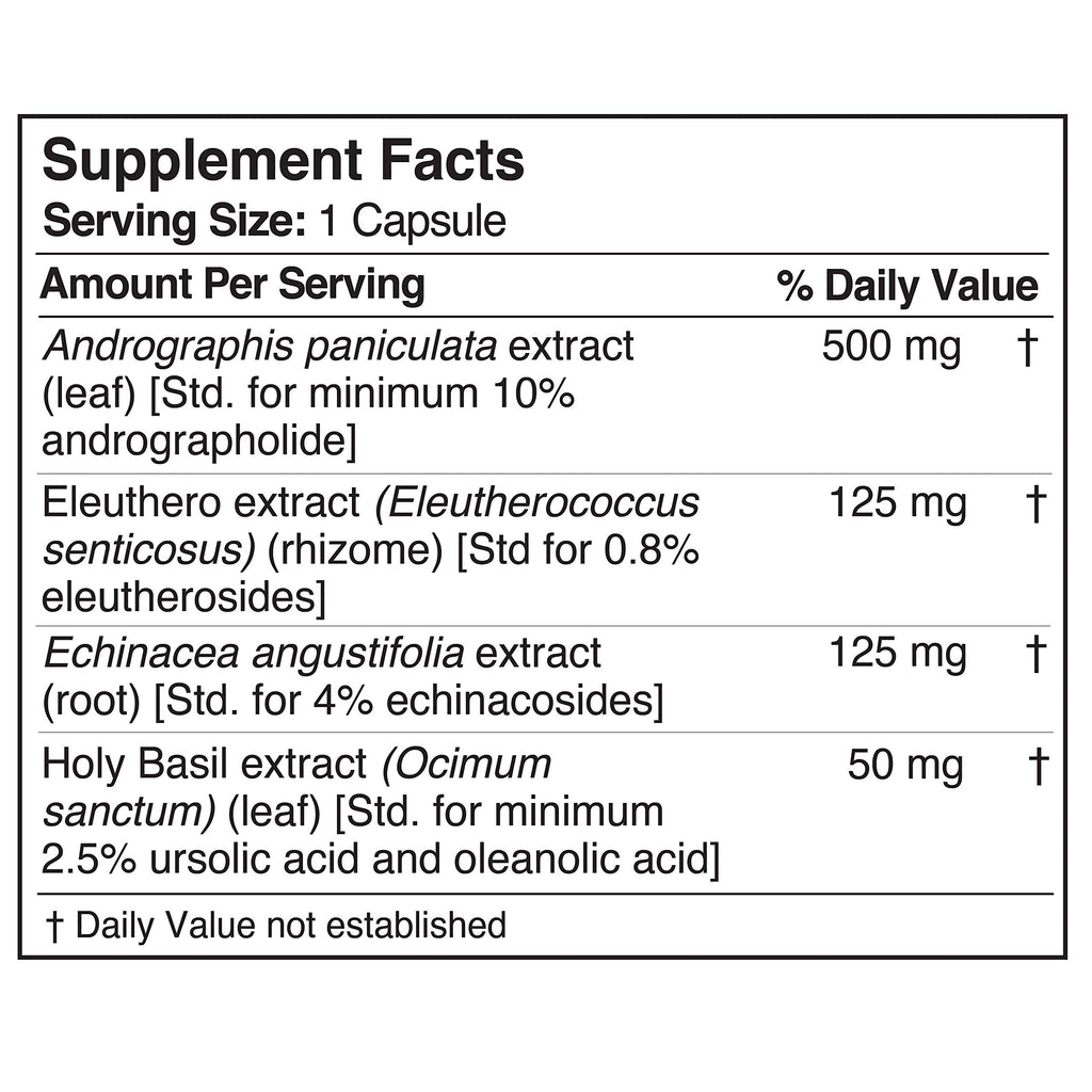 natural echinacea for immune boost