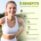 natural echinacea for immune health