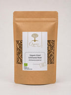 natural echinacea for immune support