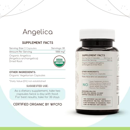 natural echinacea for immune support