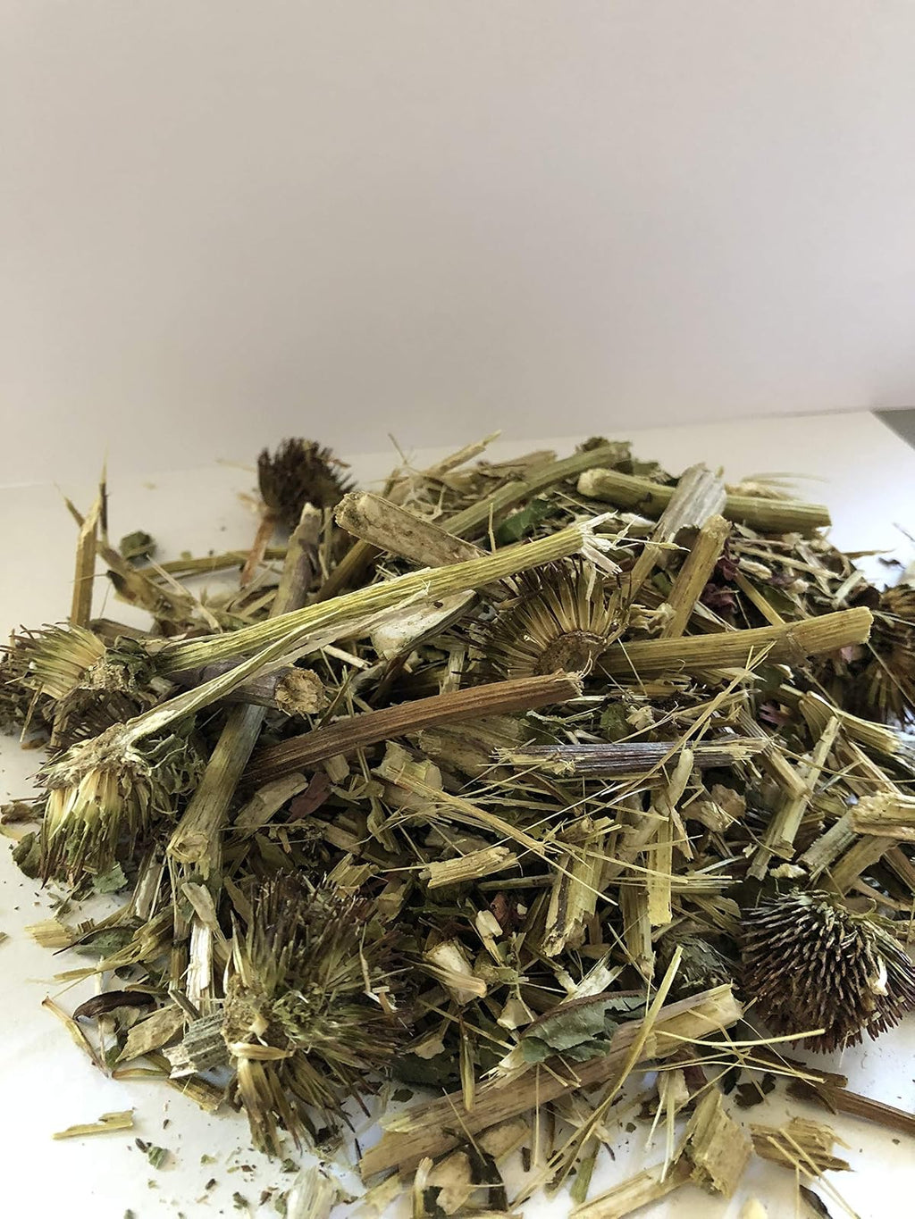 natural echinacea for immune support