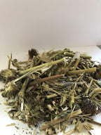 natural echinacea for immune support