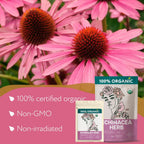 natural echinacea for immune support