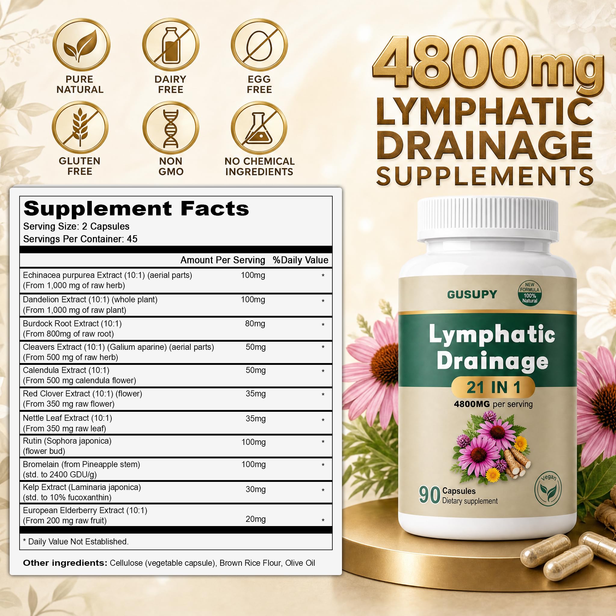 natural echinacea for immune support