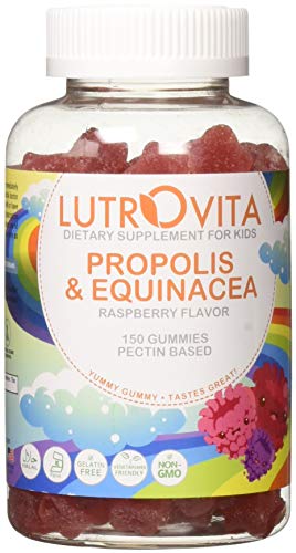 natural echinacea for kids health