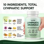 natural echinacea for lymphatic health