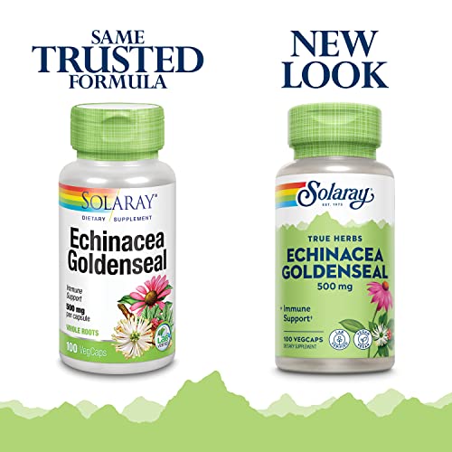 natural echinacea for seasonal health
