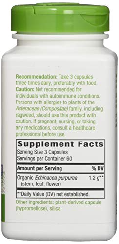 Natural echinacea for seasonal health