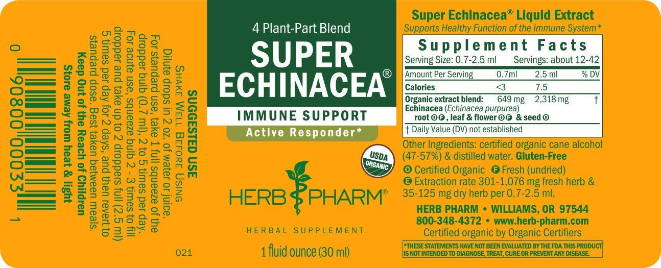 Natural echinacea for seasonal wellness