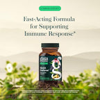 natural echinacea for seasonal wellness