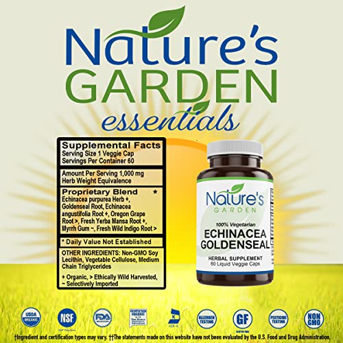 Natural echinacea for seasonal wellness