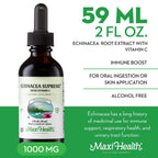 natural echinacea for seasonal wellness