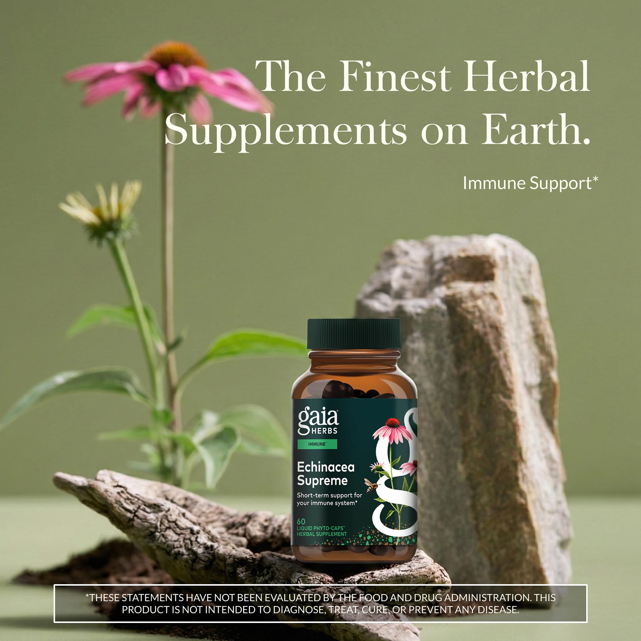 natural echinacea for wellness