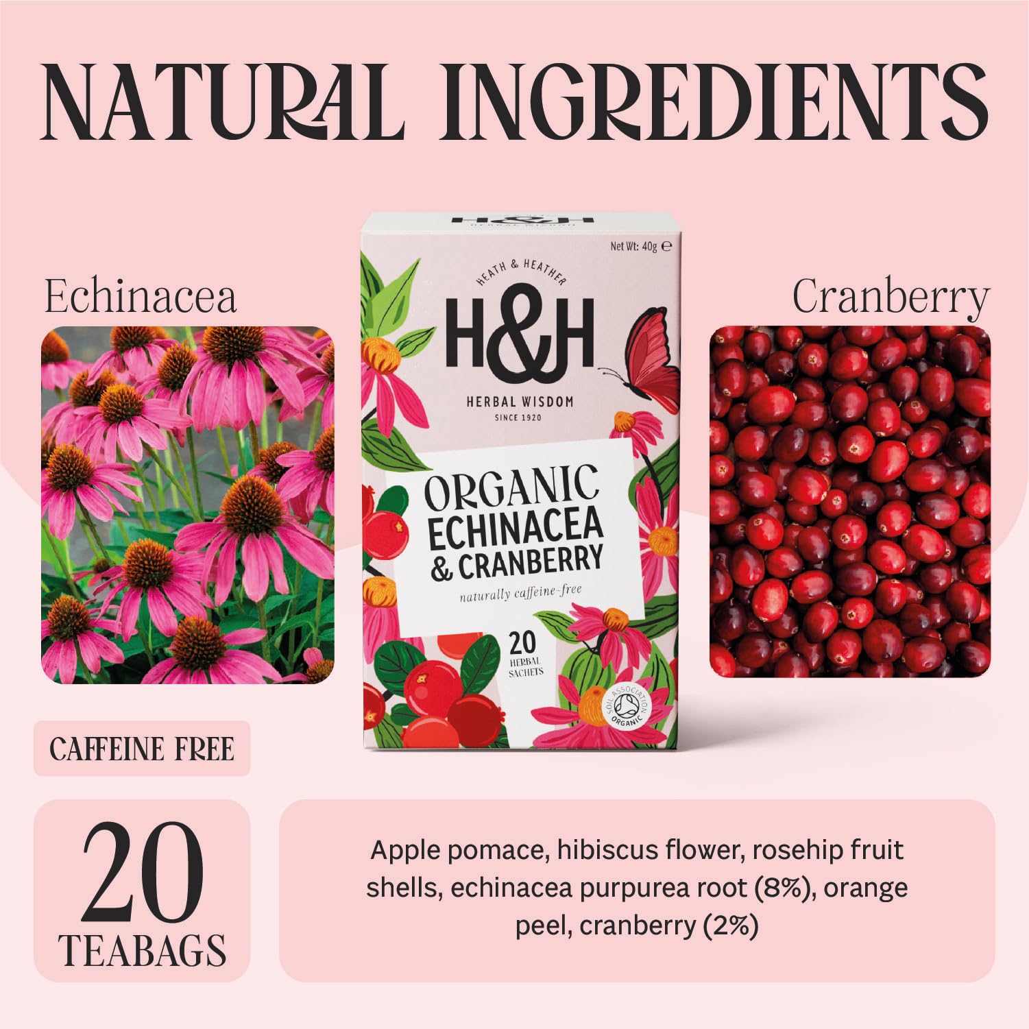 natural echinacea health benefits