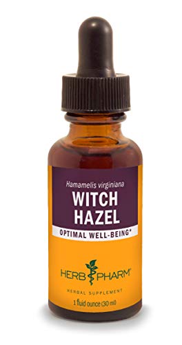 natural echinacea herbal remedy