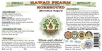 Natural echinacea herbal remedy