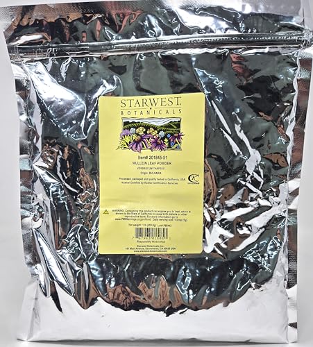 natural echinacea herbal supplement benefits