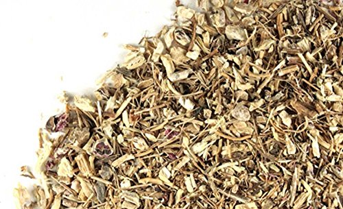natural echinacea herbal supplement benefits