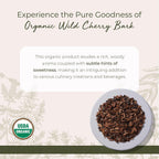natural echinacea herbal supplement
