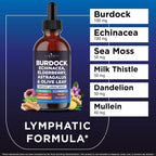 natural echinacea herbal supplement