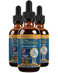 natural echinacea immune booster