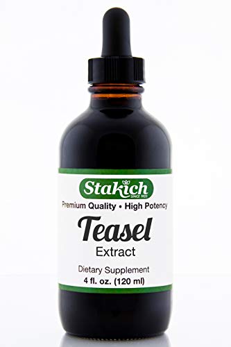 natural echinacea liquid extract wellness