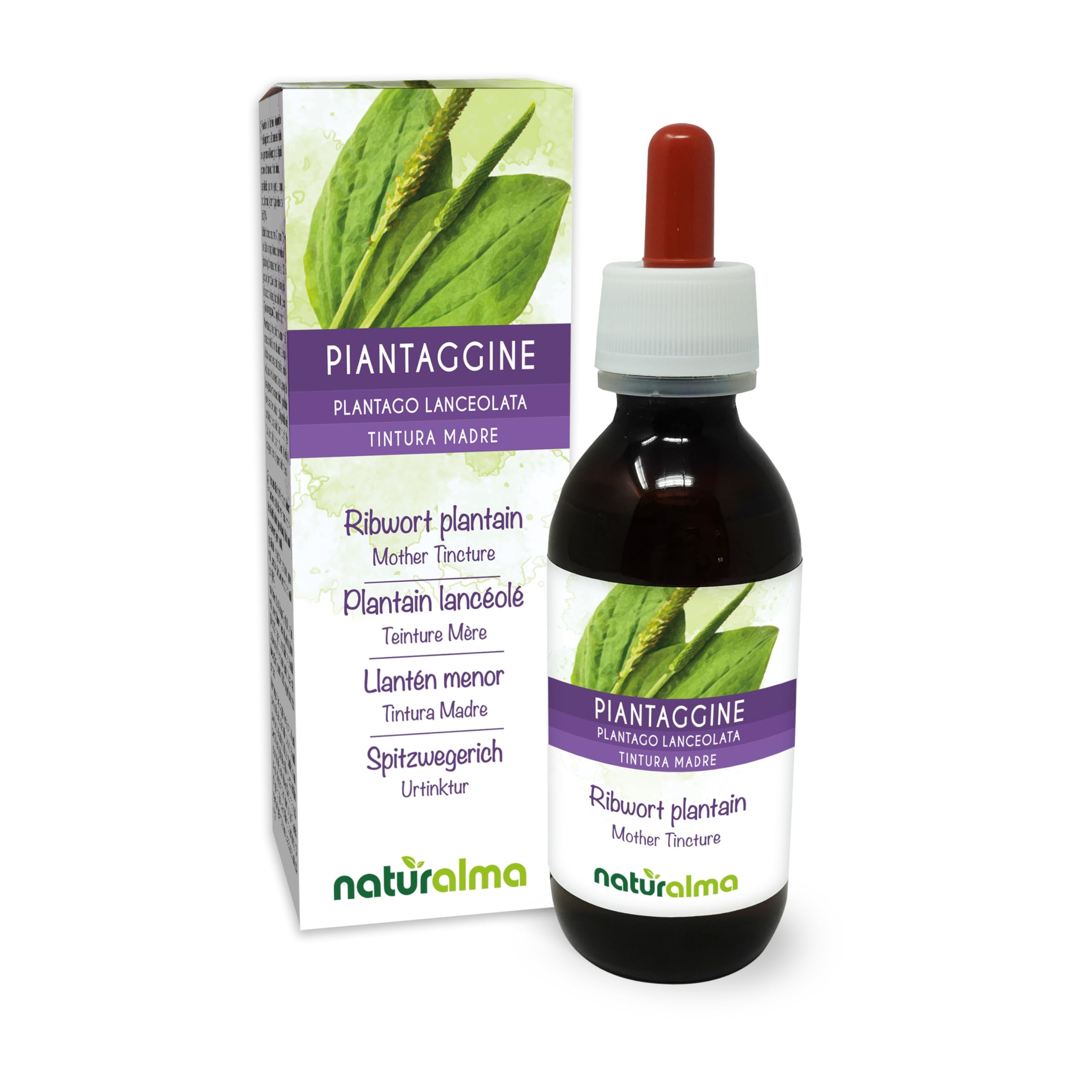 natural echinacea liquid extract