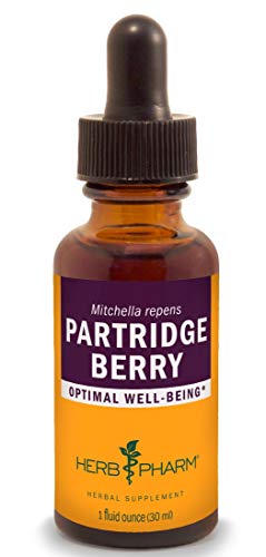 natural echinacea liquid supplement