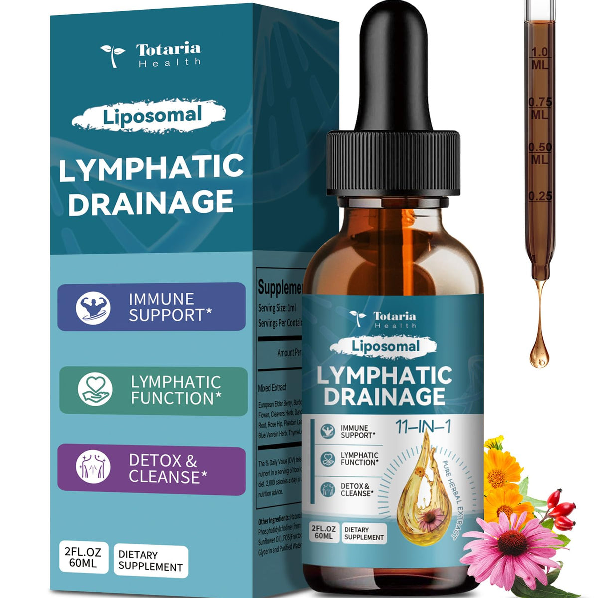 natural echinacea lymphatic support