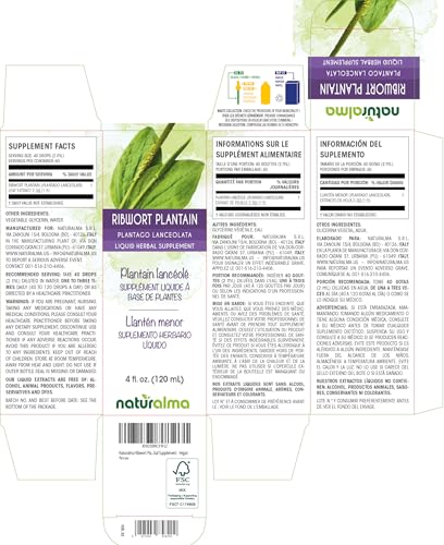 natural echinacea remedy for colds