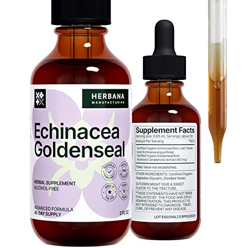 Natural echinacea supplement for energy
