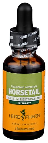 Natural echinacea supplement for immunity