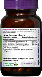 natural echinacea supplement for wellness