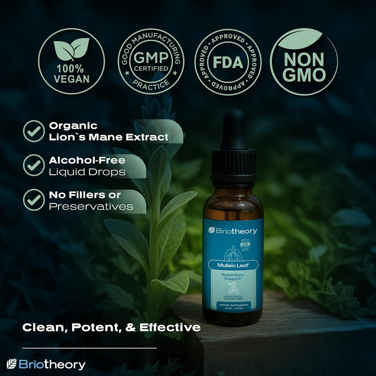 Natural echinacea supplement for wellness