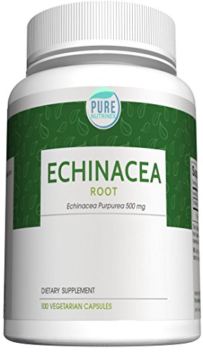 natural echinacea supplement for wellness