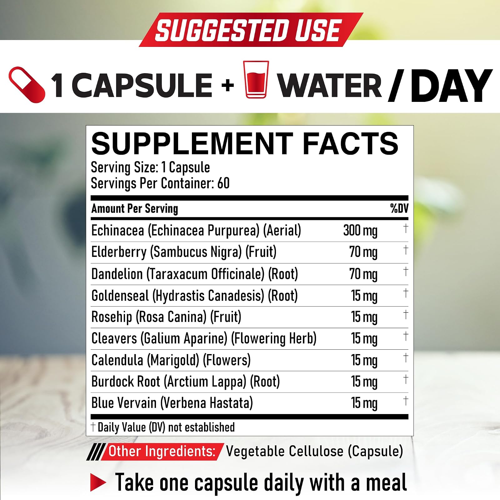natural echinacea supplement for wellness