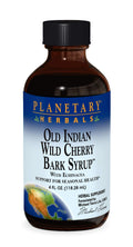 natural echinacea syrup for wellness
