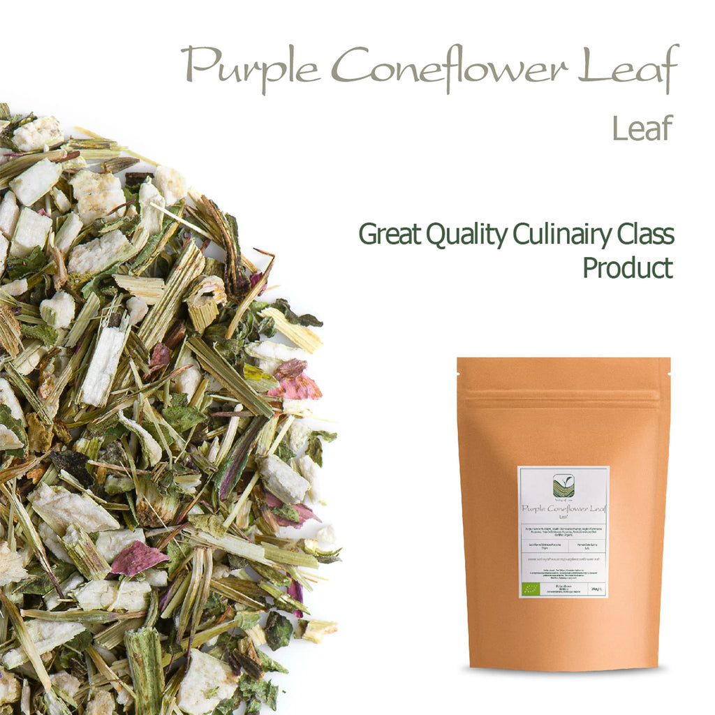 natural echinacea tea for immunity