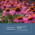 Natural Echinacea throat spray benefits