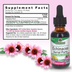 Natural echinacea tincture benefits