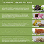 Natural elderberry and echinacea blend