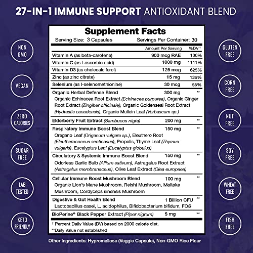 natural elderberry and zinc immune booster