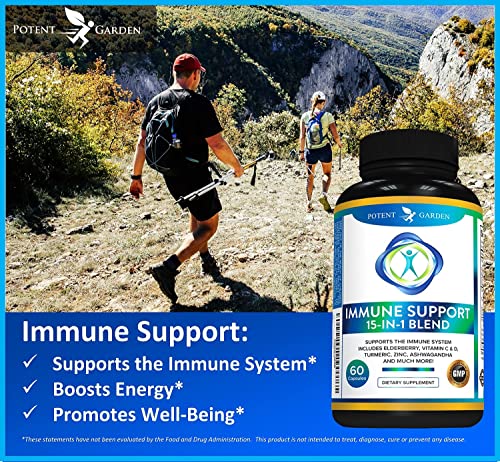 natural elderberry capsules for health