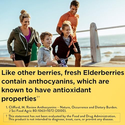 Natural elderberry capsules for health