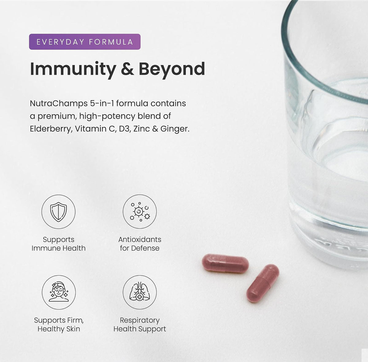natural elderberry extract 1000 mg
