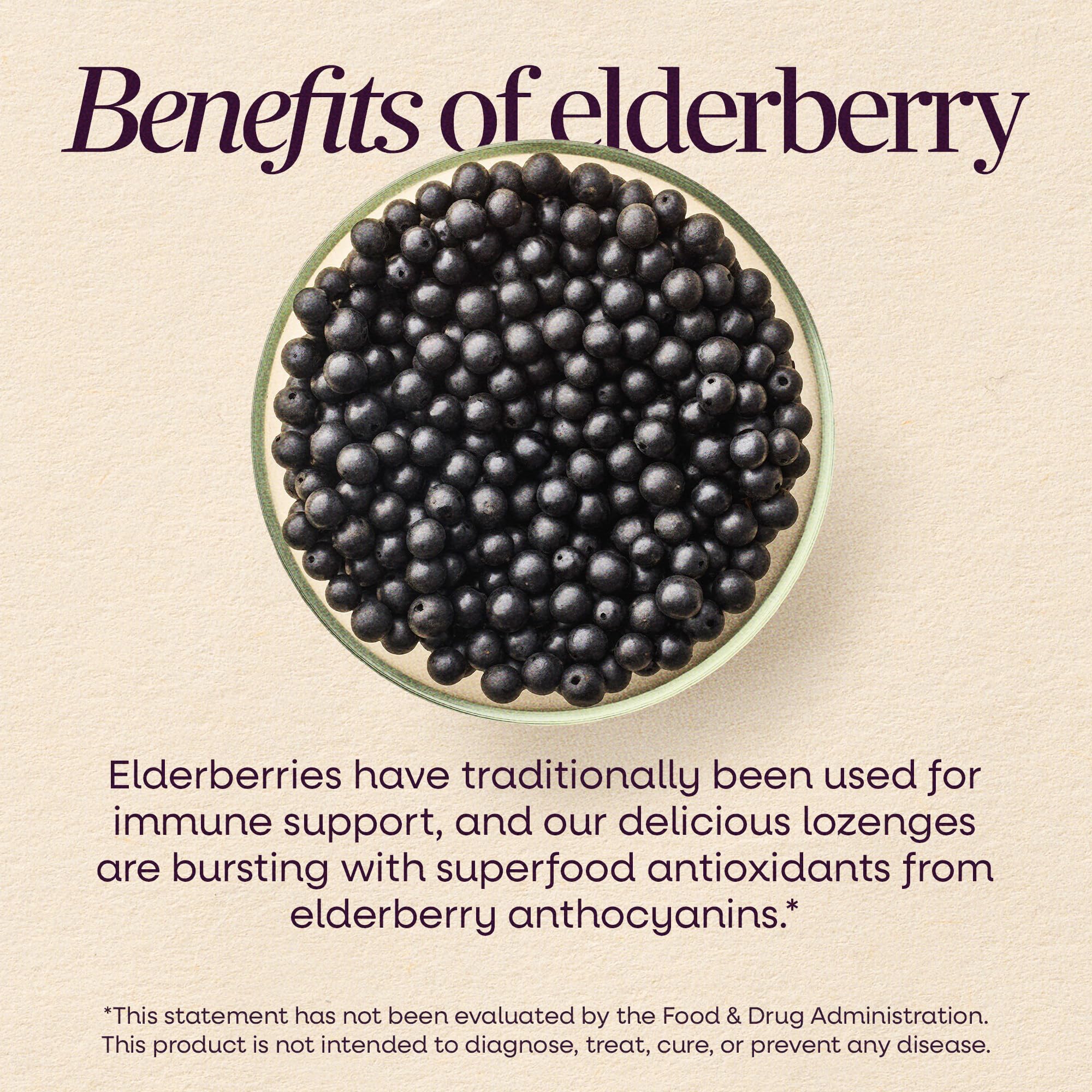 Natural elderberry extract for immune health