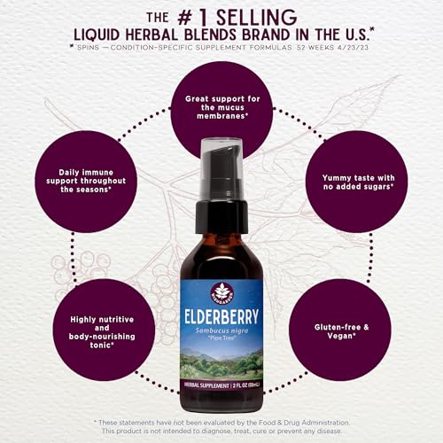 natural elderberry extract for immune support