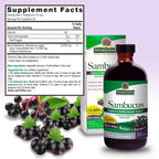 natural elderberry extract for wellness