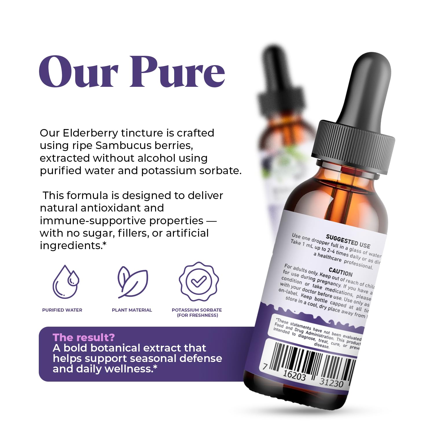 Natural elderberry extract for wellness